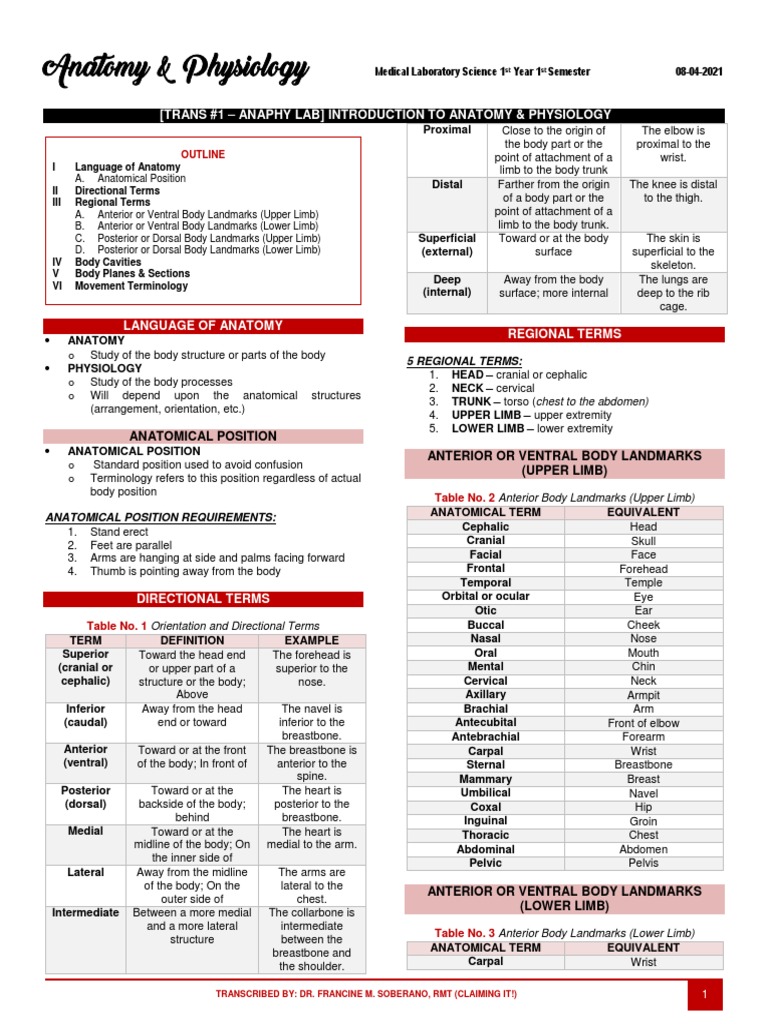 Anaphy Trans Lab 1 | PDF