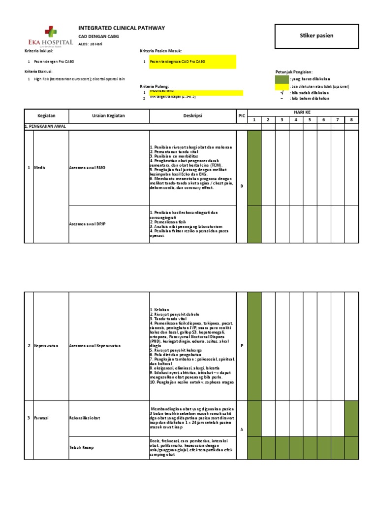 Icp Cabg Pku New Template | PDF