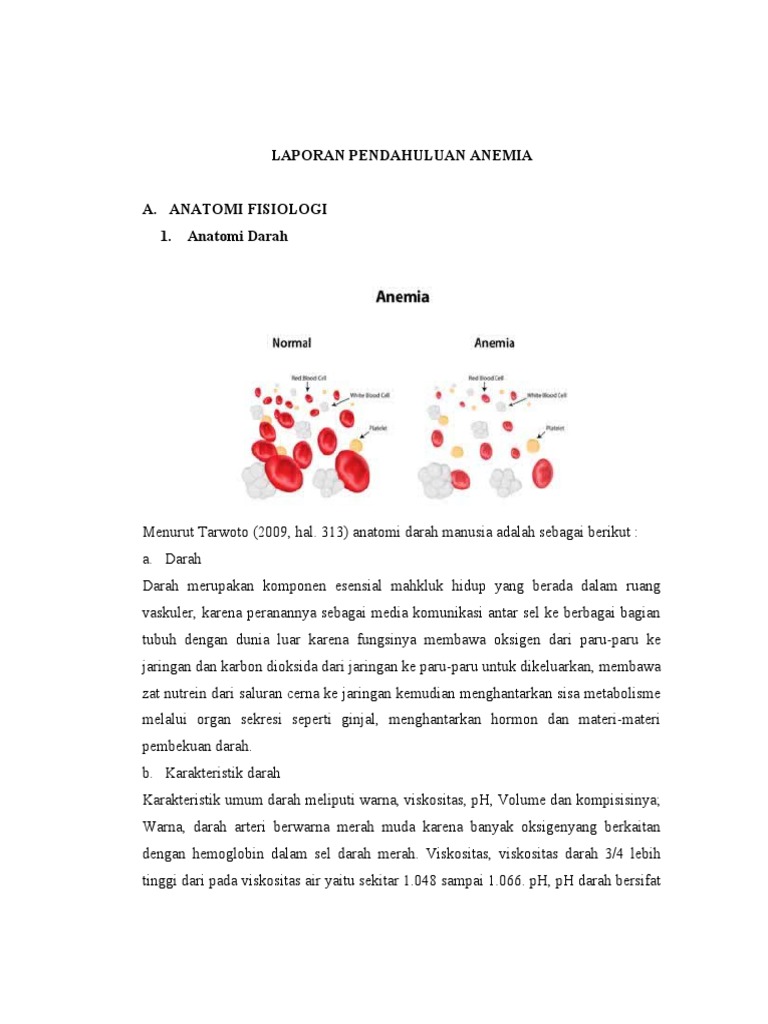 Laporan Pendahuluan Anemia | PDF