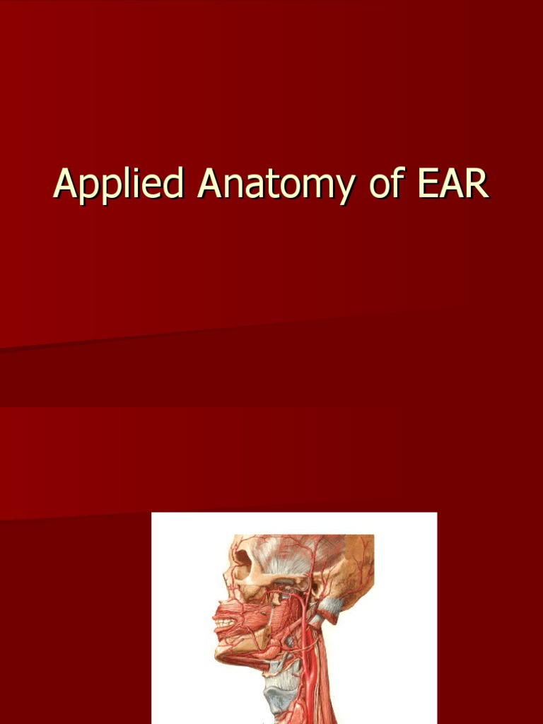Applied Anatomy of the Ear Explained | PDF