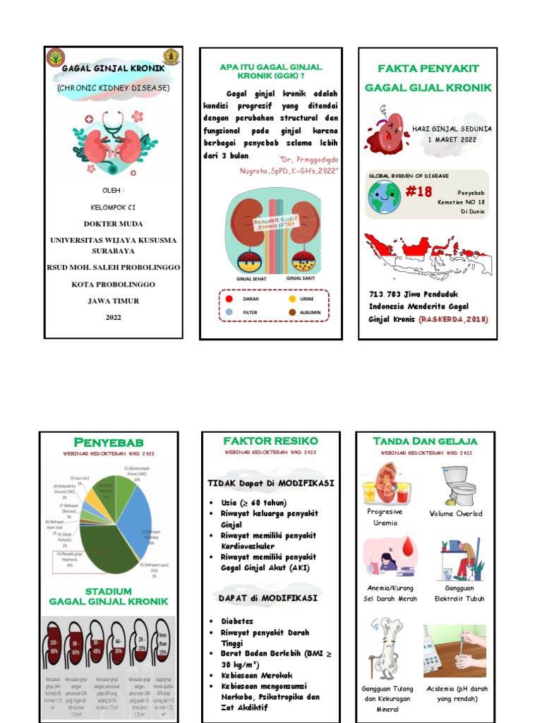 CKD Poster New | PDF