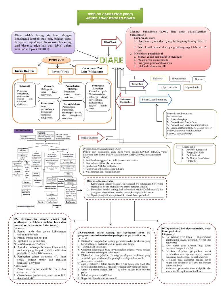 Toaz - Info Woc Diare PR | PDF