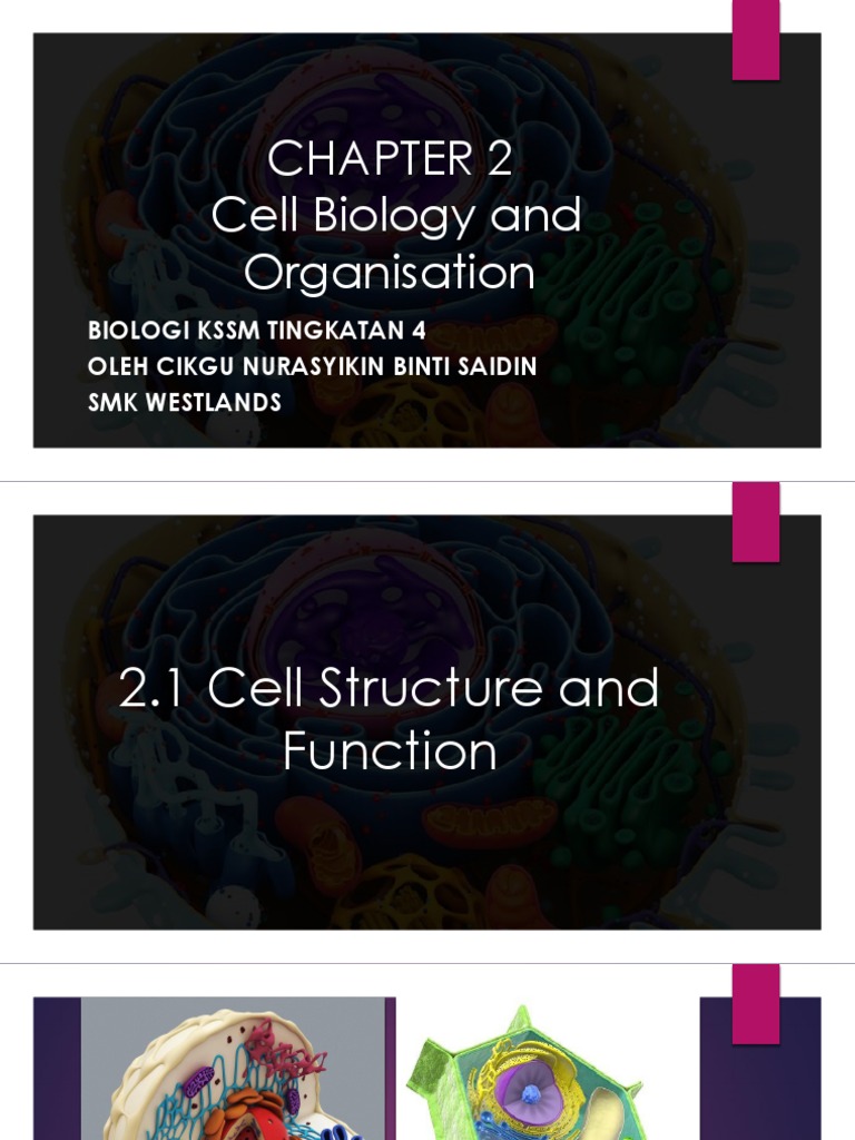 Cell Biology Overview for Form 4 | PDF | Human Body | Tissue (Biology)
