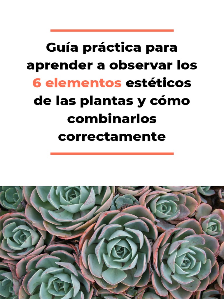 Elementos Esteticos de Las Plantas 1 | PDF | Color | Belleza