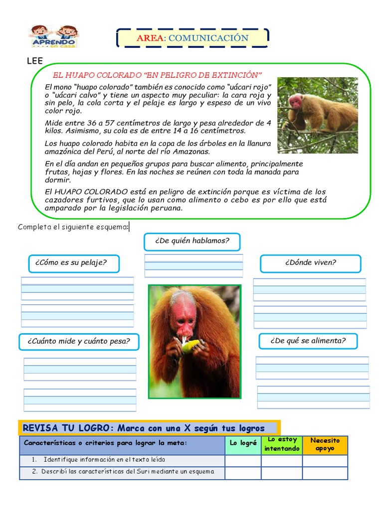 Huapo Colorado: Especie en Peligro | PDF | Religión y espiritualidad