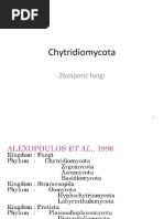 Allomyces: Life Cycle and Classification | PDF | Fungus | Mycology