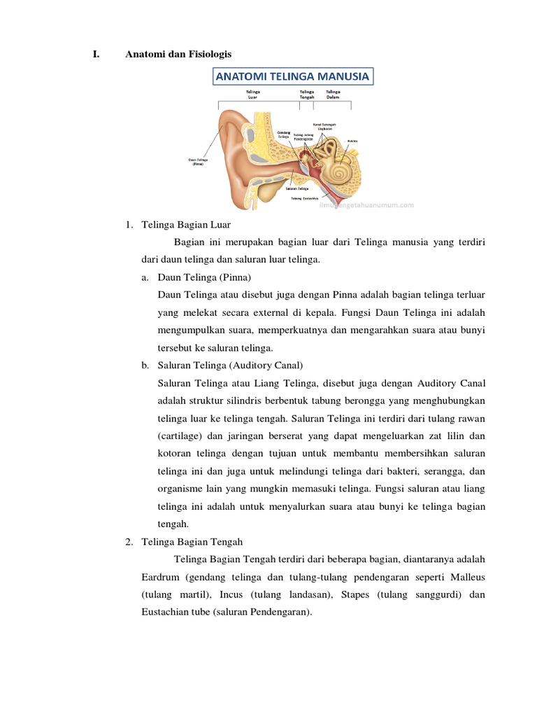 LP Vertigo Print | PDF | Kajian Bahasa Asing | Sains & Matematika