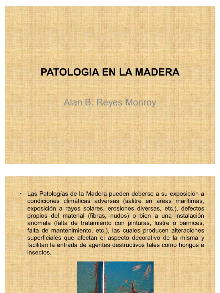 Patologia en La Madera | PDF | Madera | Hongo