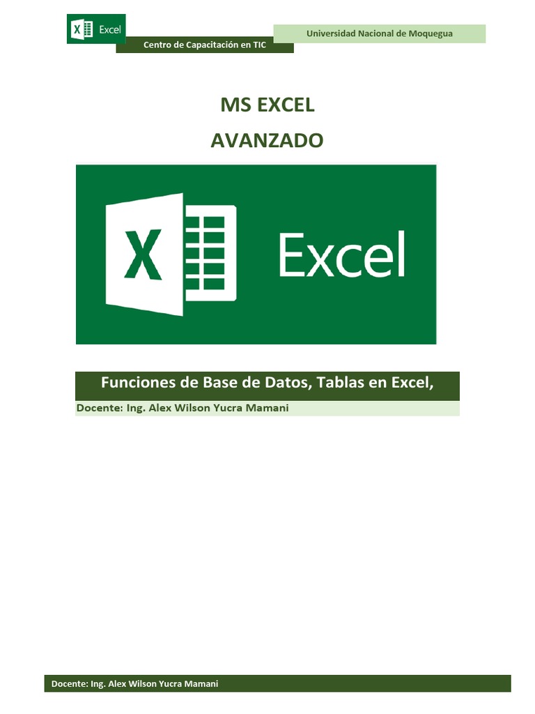 Curso Excel Avanzado | PDF | Microsoft Excel | Bases de datos