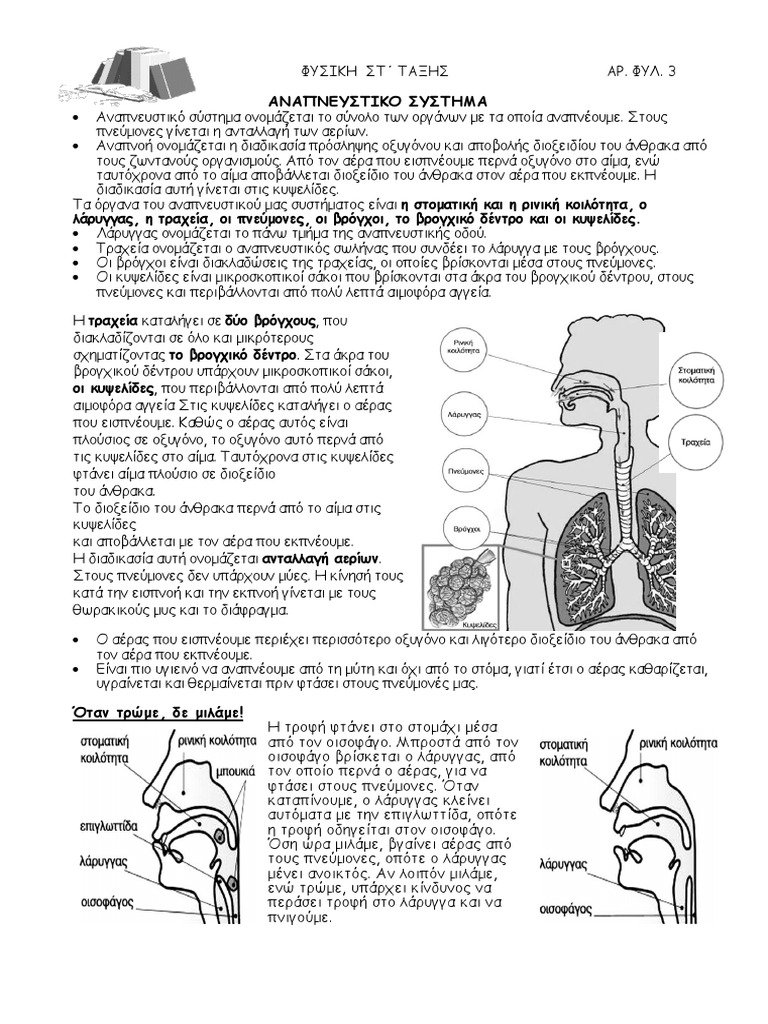 ΑΝΑΠΝΕΥΣΤΙΚΟ ΣΥΣΤΗΜΑ | PDF