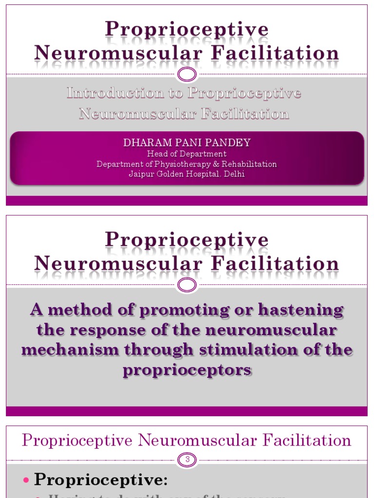 Proprioceptive Neuromuscular Facilitation - INTRODUCTION | PDF ...
