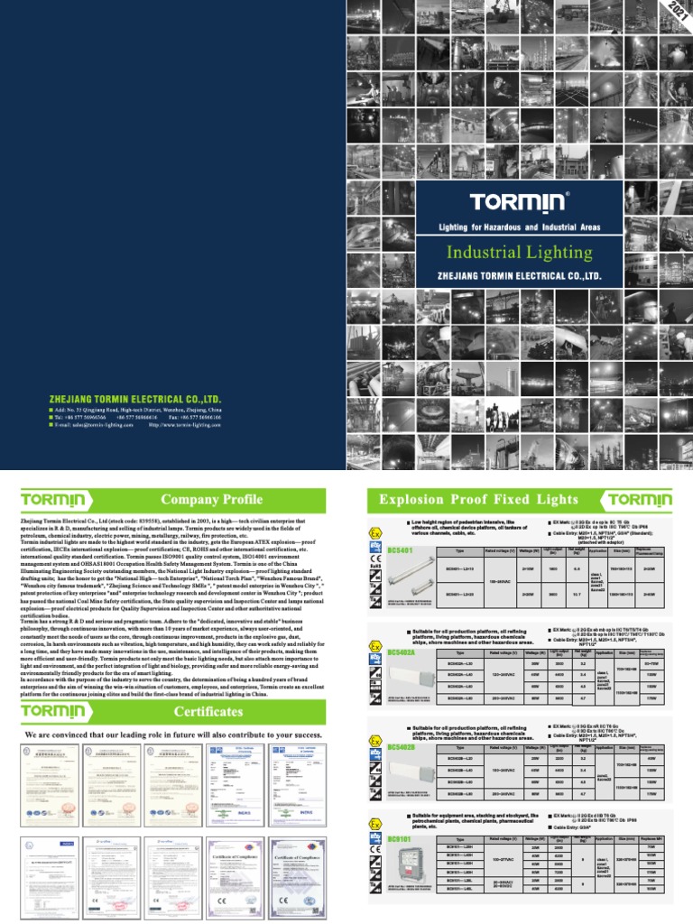 Tormin Explosion-Proof Lighting Solutions | PDF | Lighting | Electric Power