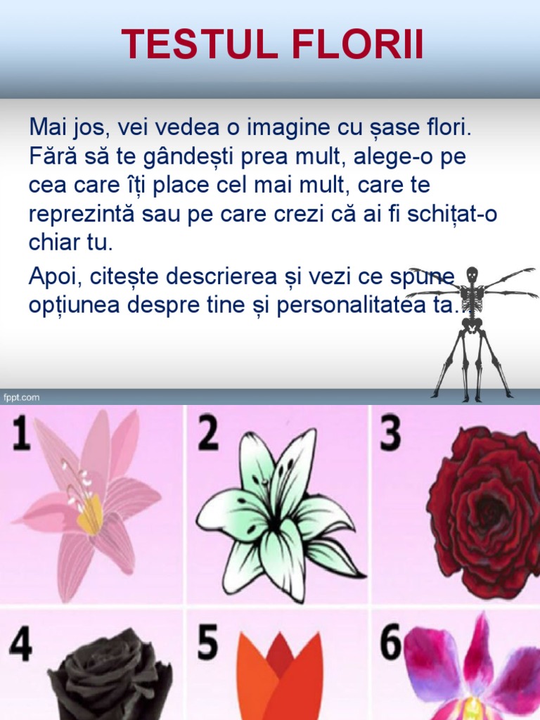 Muşchii Toracelui. Copie | PDF