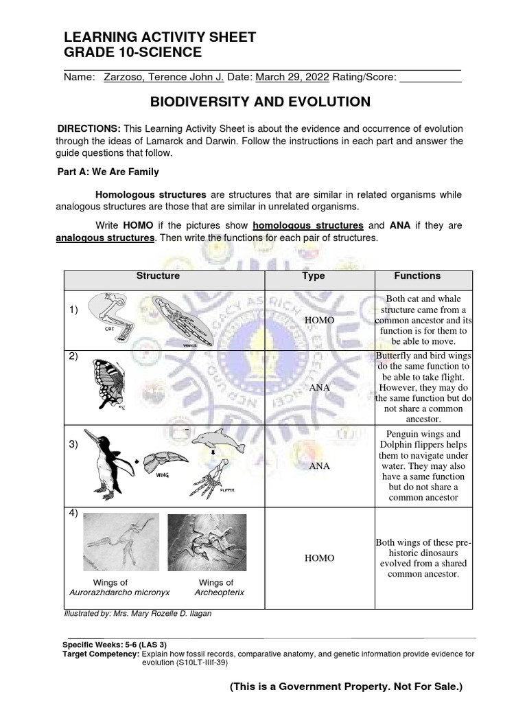 Grade 10 Science: Biodiversity & Evolution | PDF | Evolution | Natural ...