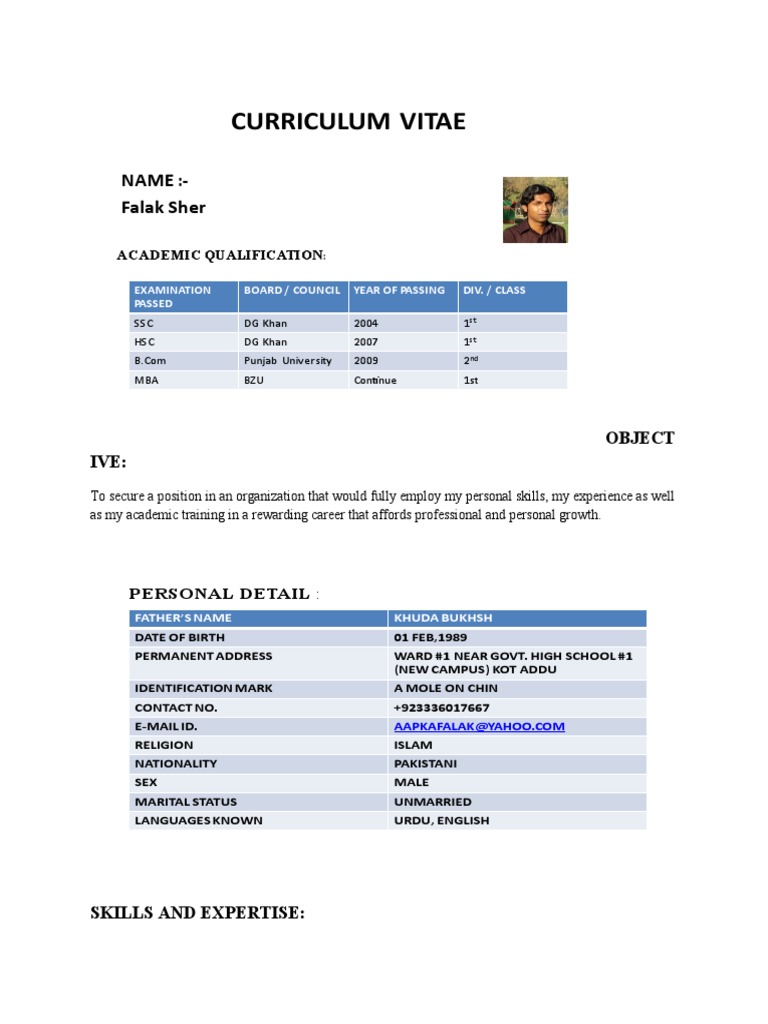 Falak CV | PDF