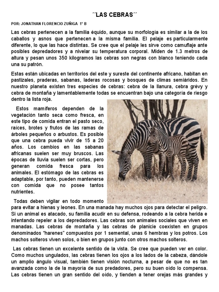 Las Cebras | PDF | Cebra