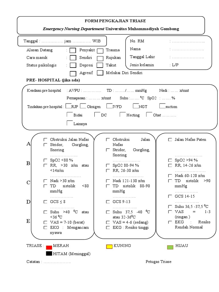 Format Pengkajian Triase | PDF