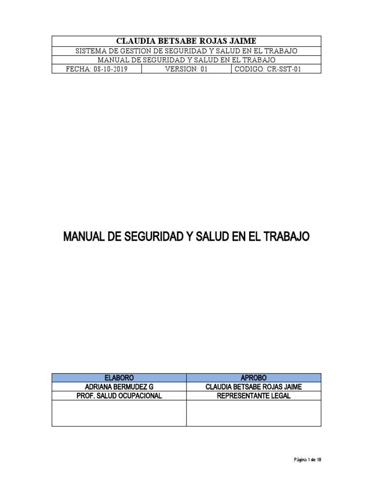 Manual de Seguridad y Salud en El Trabajo | PDF