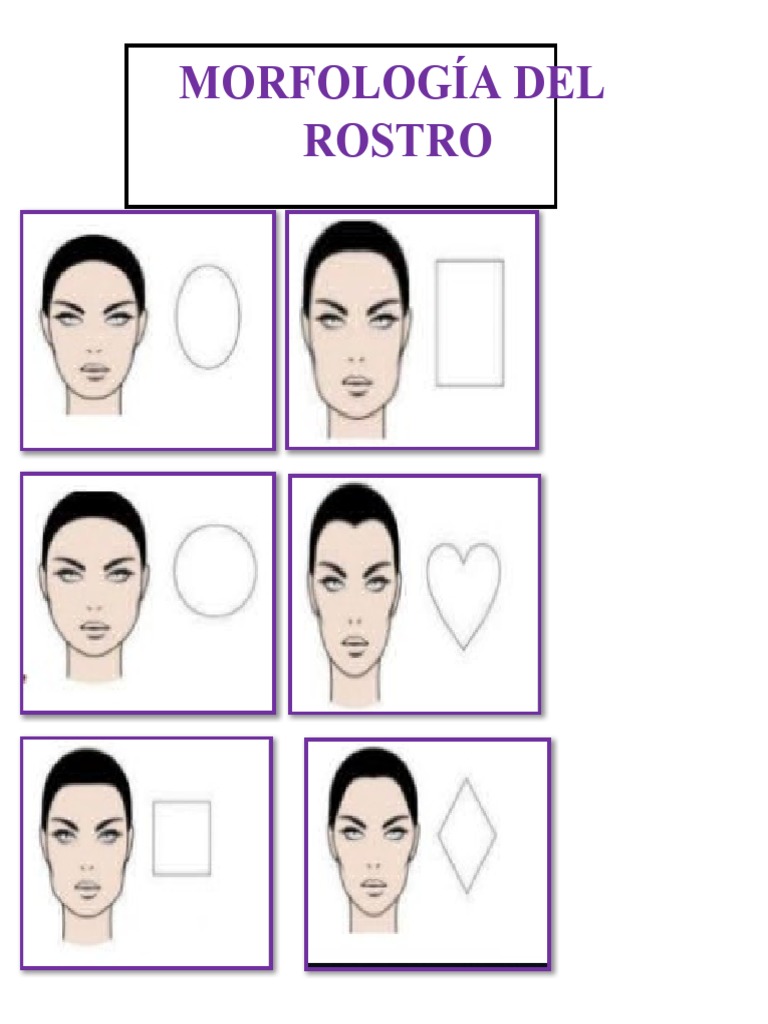 Morfología Del Rostro | PDF