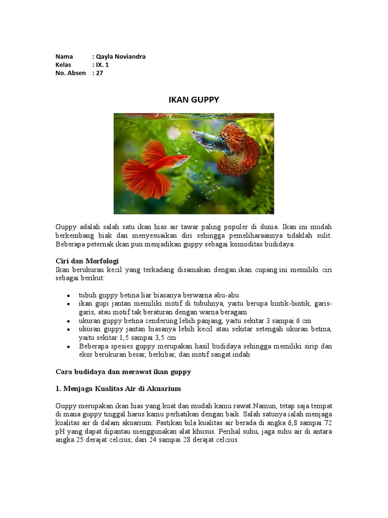 Ikan Guppy | PDF