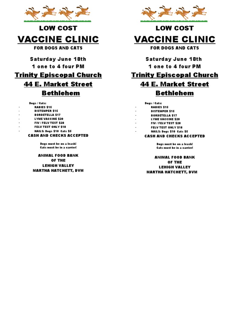 Shot Clinic Flyer | PDF