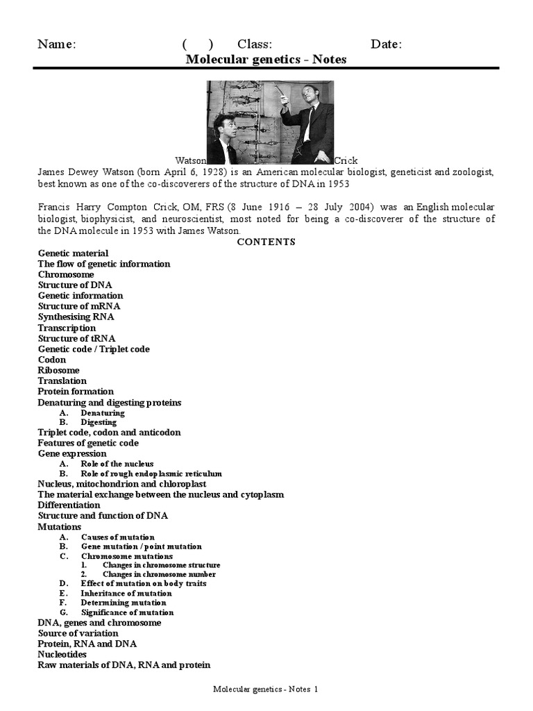 Molecular Genetics - Notes | PDF | Translation (Biology) | Ribosome