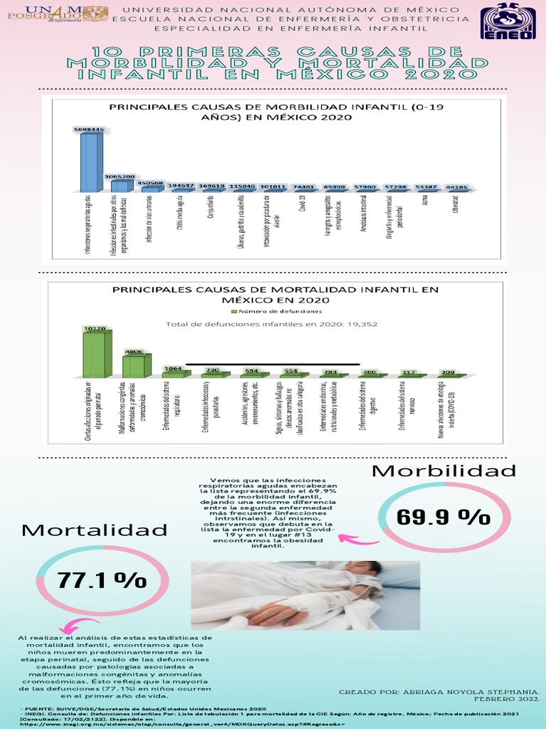 10 Primeras Causas de Morbi - Mortalidad en La Población Infantil | PDF ...