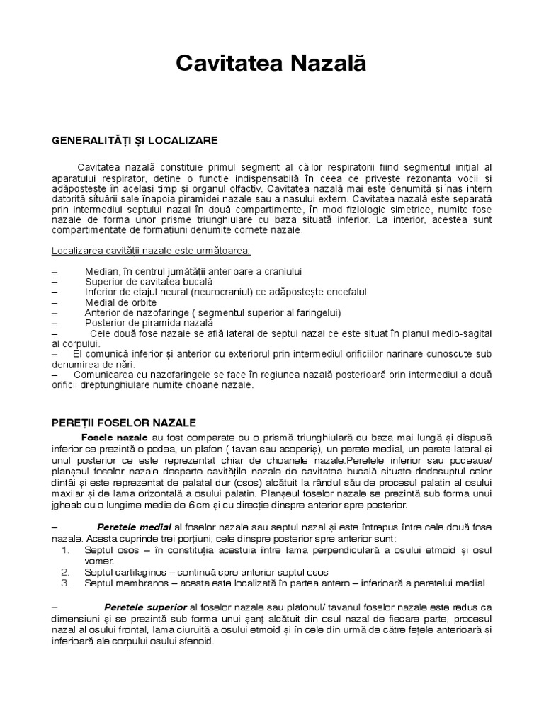 Cavitatea Nazala | PDF