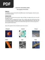 Lab Report - Phloem & Xylem | PDF | Plant Stem | Tissue (Biology)