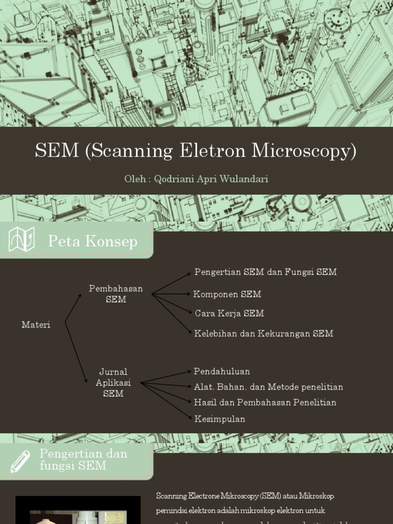 Panduan Lengkap Scanning Electron Microscopy | PDF