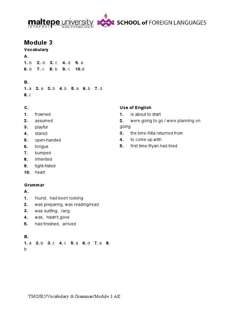 AK Vocabulary & Grammar - B2 Module 3 | PDF
