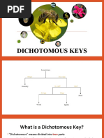 Dichotomous Key - Cambridge IGCSE™ Biology FE2023 | PDF | Biology