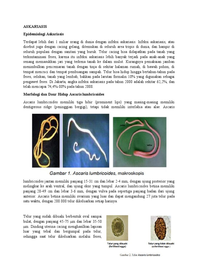 Askariasis | PDF