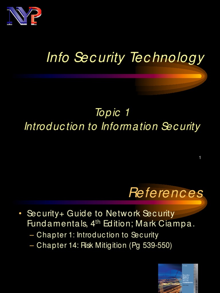 Introduction To Security | PDF | Information Security | Vulnerability (Computing)