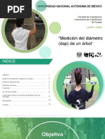 Fortipula | PDF | Arboles | Medición