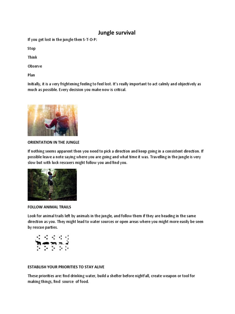 Jungle Survival If You Get Lost in The Jungle Then S | PDF