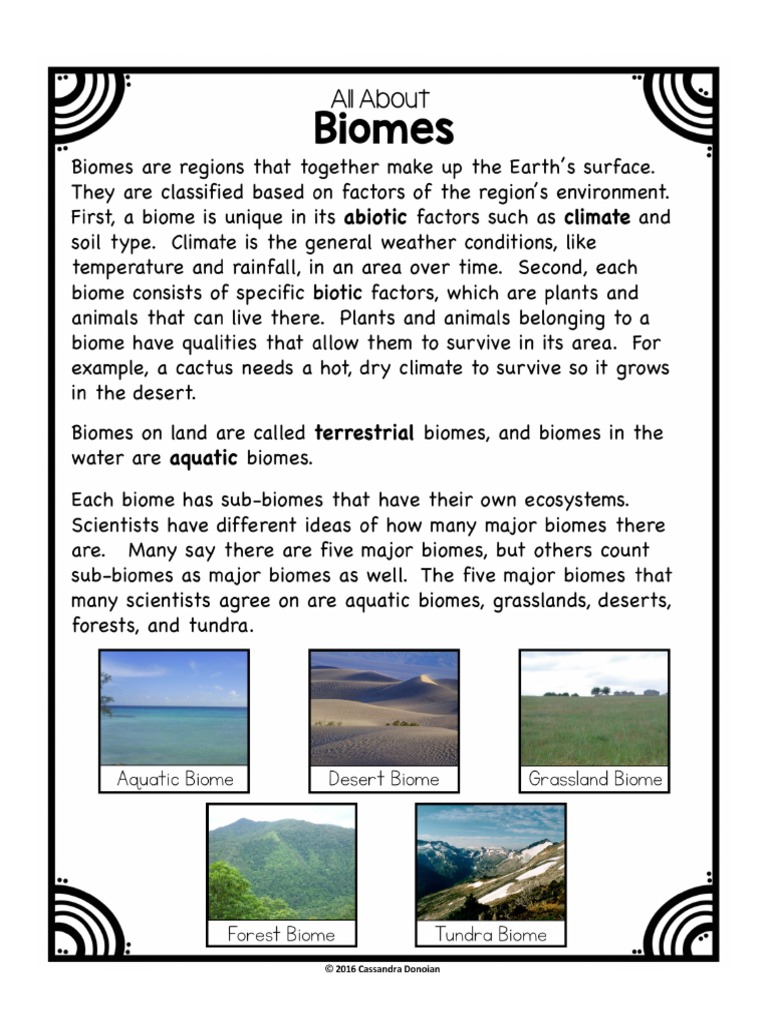 FICHA 3. Biomes Reading Comprehension | PDF