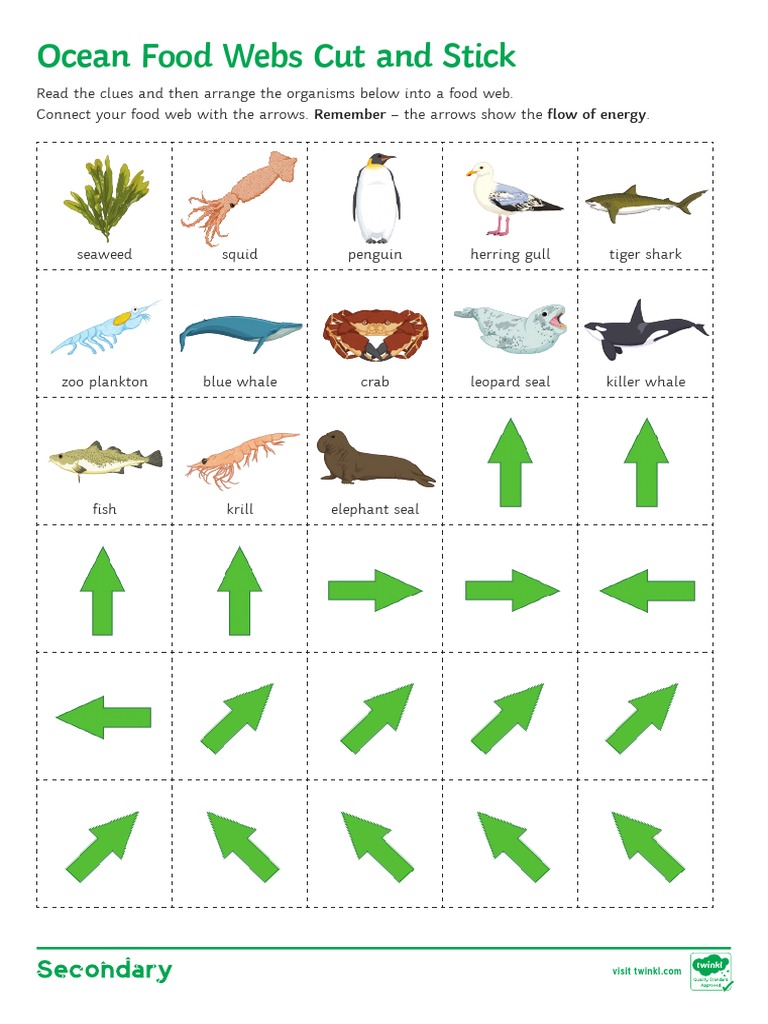 Ocean Food Webs Cut and Stick | PDF | Social Science | Home & Garden