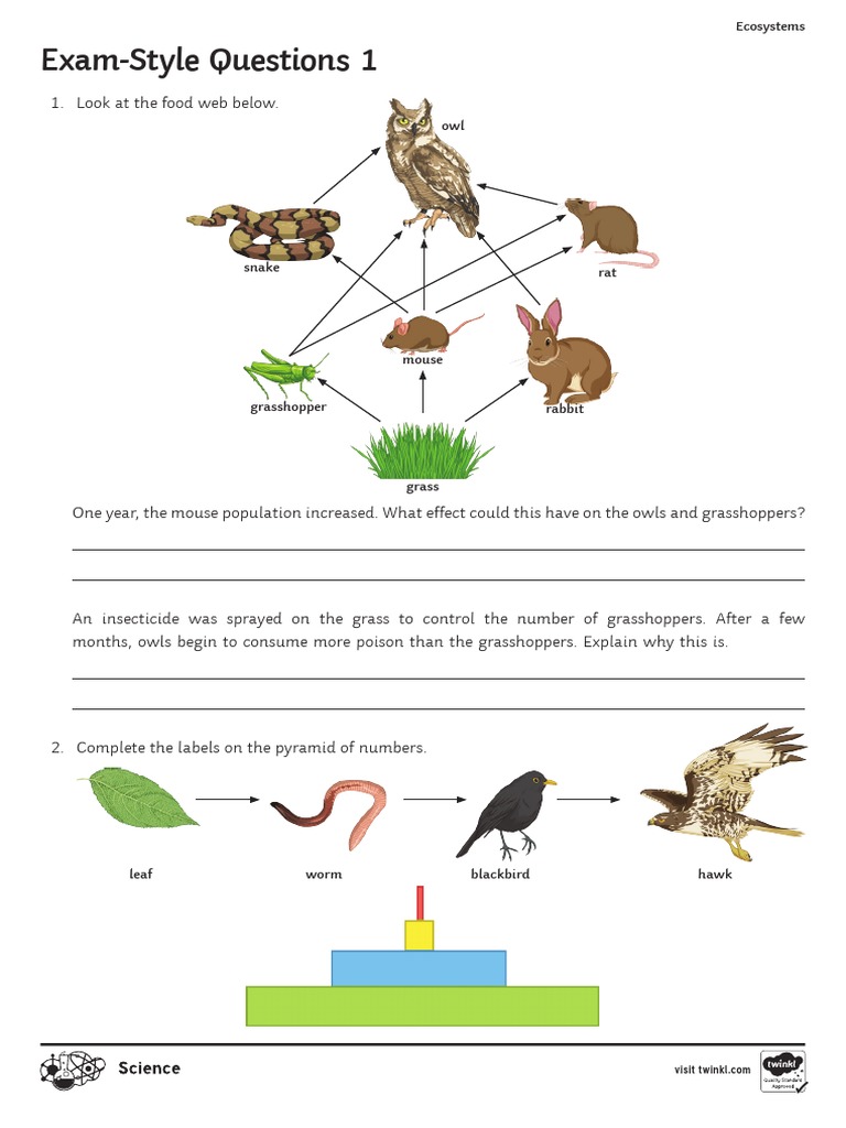 Ecosystems Exam Style Questions 1 | PDF | Natural Environment ...