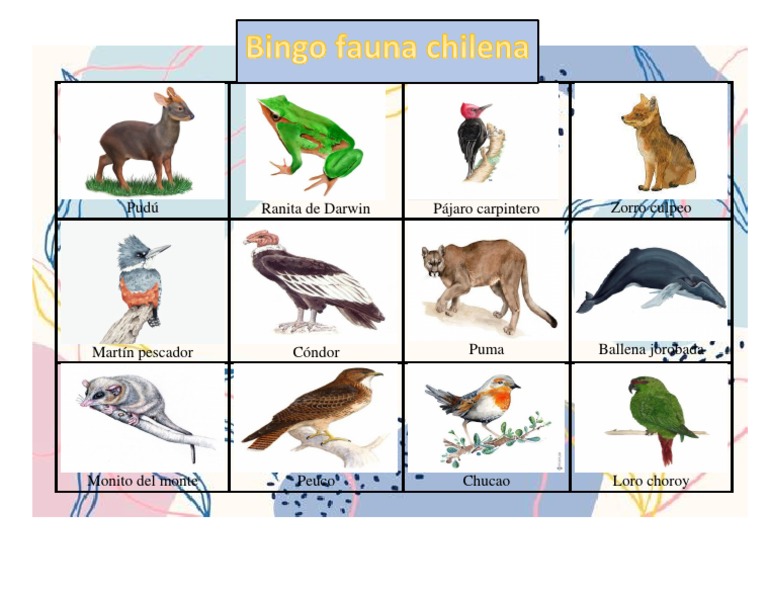 Bingo De Animales Del Zoológico Para Imprimir Zoo Animals Bingo Cards