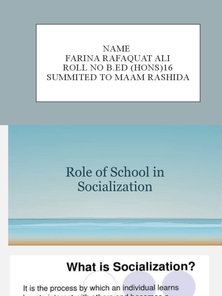 School's Role in Child Socialization | PDF