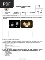 Prueba de Excentricidad en Balanzas | PDF | Química | Ciencias fisicas