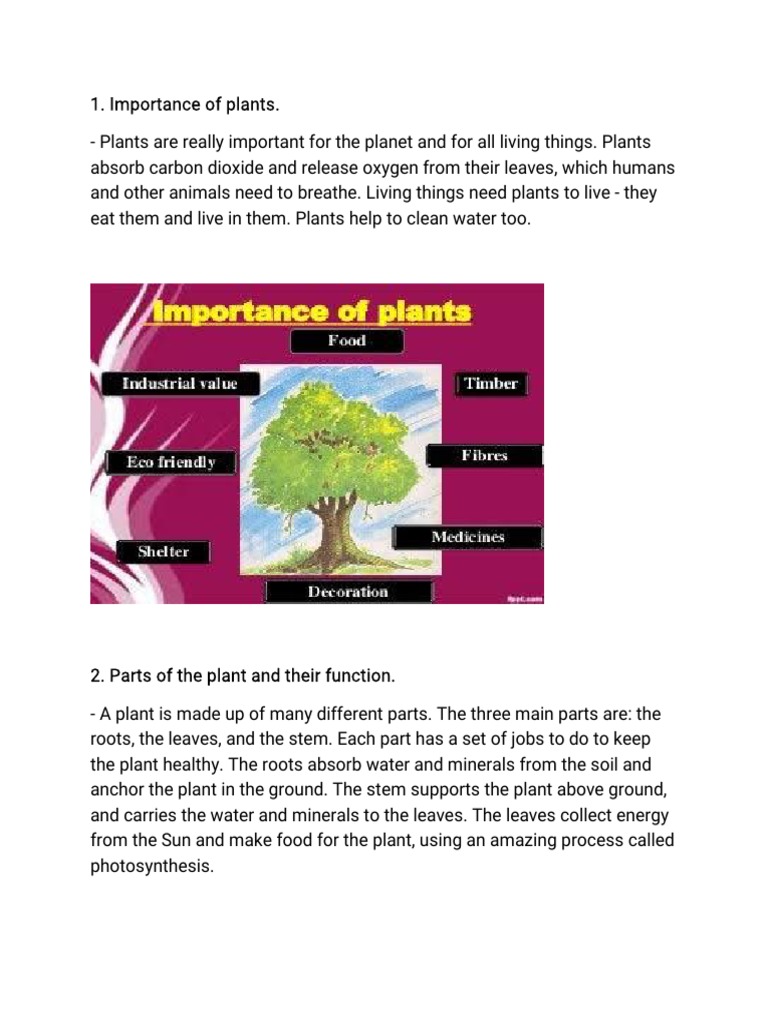 Assignment 1425 - Fundamental of Horticulture 1 | PDF | Plants | Plant ...