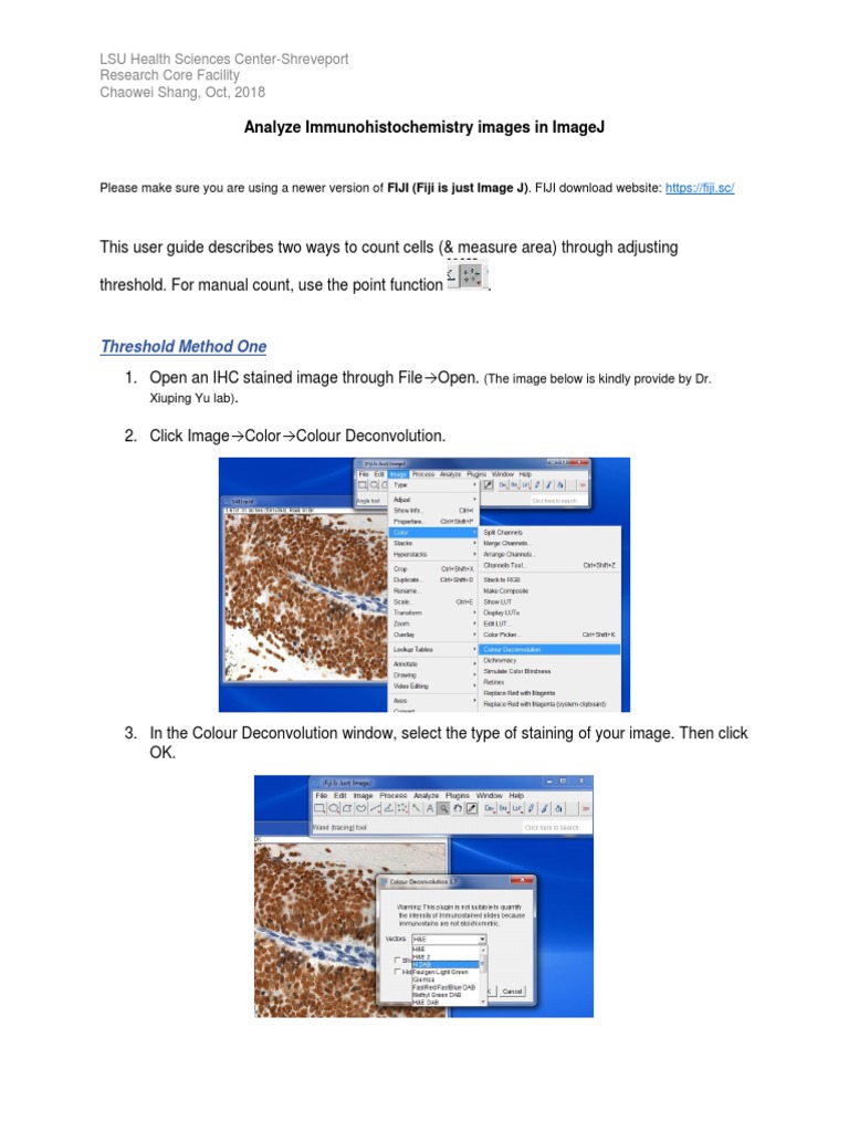 ImageJ IHC Image Analysis Guide | PDF | Rgb Color Model | Image Processing