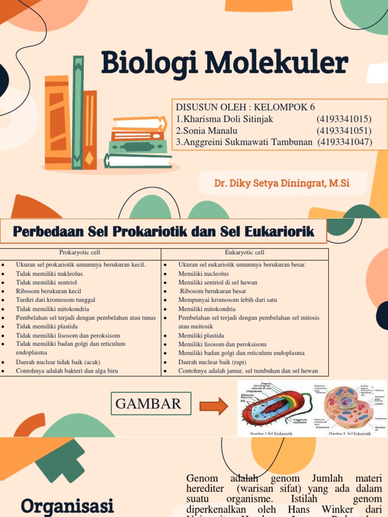 Biomol - Kelompok 6 - PSPB 19 e | PDF