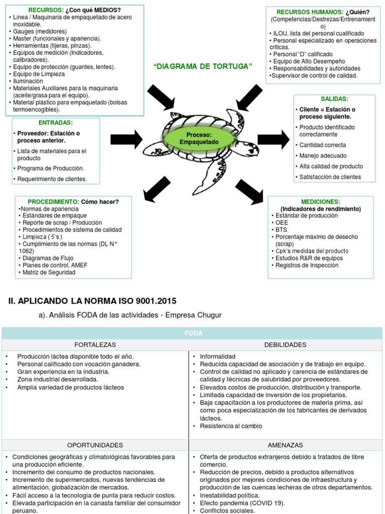 Diagrama de La Tortuga | PDF | Business | Pequeñas y medianas empresas