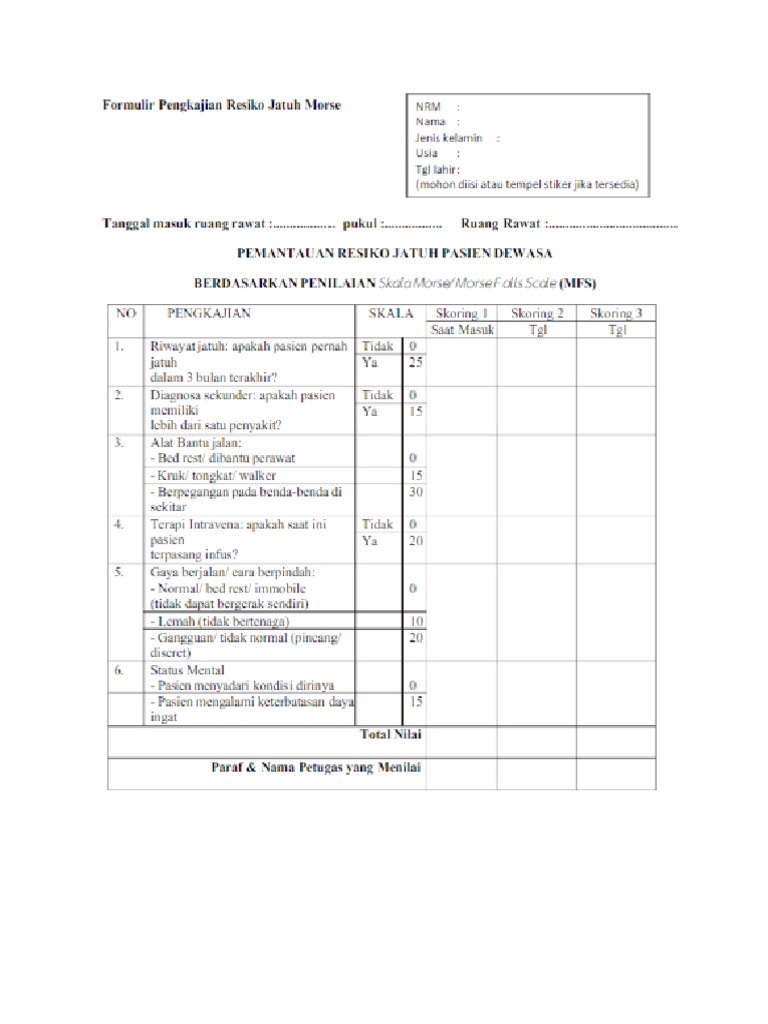 Morse Fall Scale | PDF