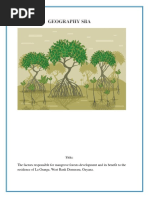 CSEC Geography FieldStudy SBA Strategy Sheet | PDF