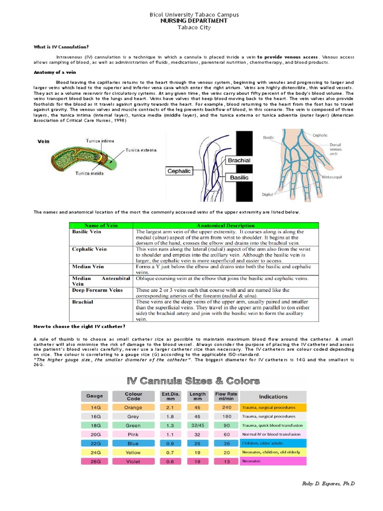 IV Cannulation Techniques and Tips | PDF | Intravenous Therapy | Vein