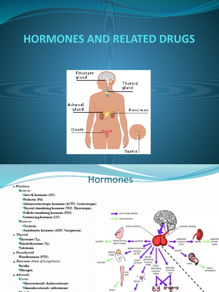 Hormones and Related Drugs | PDF | Growth Hormone | Thyroid Stimulating ...
